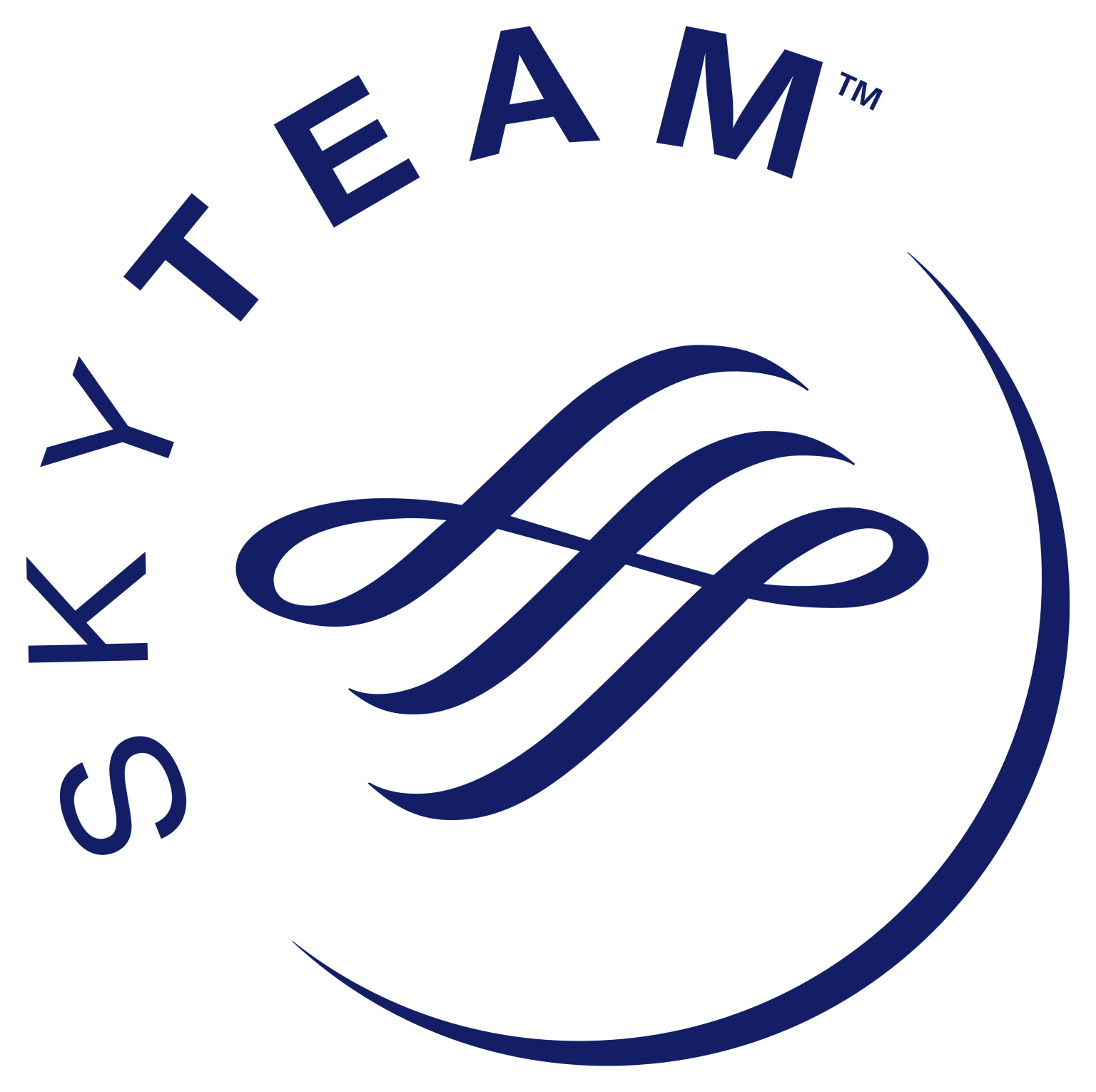 SkyTeam Logo PNG Download - Bootflare