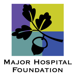 Major Hospital Foundation Logo PNG Download - Bootflare