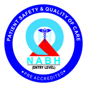 Nabh Logo PNG Download - Bootflare
