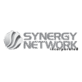 Synergy Network Logo PNG Download - Bootflare